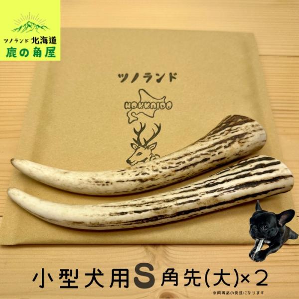 ご覧頂きありがとうございます。こちらの商品はSサイズ角先大2本です。小~中型のワンちゃん用になります。角先はホールドのしにくさがクセになる様です！また、角先は前歯でガジガジします、四つ割や半割は奥歯ですので使い分けて遊ばせる事が出来ます。大...