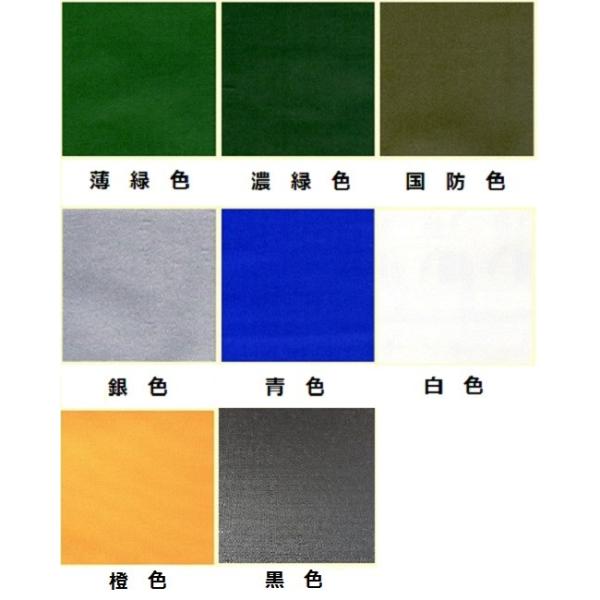 こちらの商品は下記項目で検索されています補修シール ペタックス 粘着テープ 強粘着 補修テープ 緑 みどり グリーン ライトグリーン 白 ホワイト オレンジ 橙 国防 青 ブルー 黒 ブラック シルバー 銀 銀色 荷台シート防水 貼る 強力...