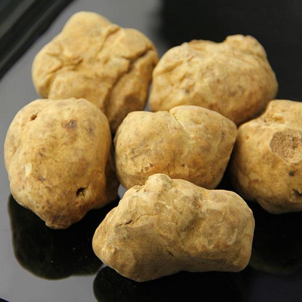 アルバ産　白トリュフ 【内容量】約20g 【保存方法】冷蔵 【原産国名】イタリア 【輸入者】日欧商事株式会社