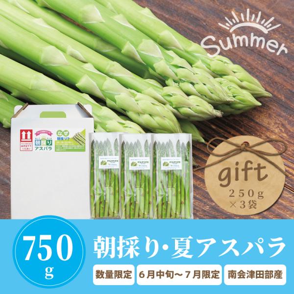 なぜ朝採りなのか皆さんはご存じですか？日差しの強い日中は葉から多くの水分が蒸発してしまいますが夜間が逆に水分を体内に溜め込んでいるので、日が昇る直前が一番みずみずしい状態なのです。夏のアスパラは立茎栽培となり、良い茎をグングン伸ばして光合成...