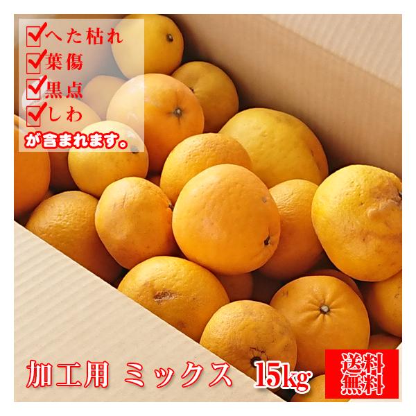 ---------------------------------------------【※※本商品は加工用となります。※※】見た目が悪かったり、やけ等ございます。ジュース、ジャム、焼酎割りなどの加工用としてご利用下さい。--------...