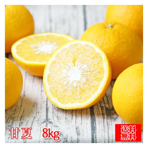 ---------------------------------------------本商品は【家庭用　サイズ込】です。---------------------------------------------【名称】　甘夏　8kg（家...
