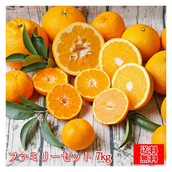 ---------------------------------------------本商品は【家庭用　サイズ込】です。---------------------------------------------【名称】　吉田みかん詰合せ...