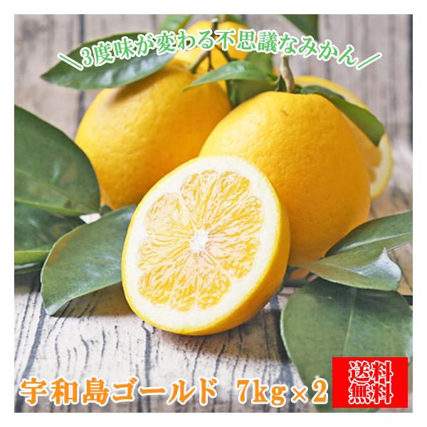 ------------------------------------★★今年も宇和島ゴールドの季節がやってきました★★------------------------------------暖かい季節がやってくるとどうも食べたくなっちゃ...