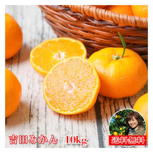 ※※本商品は『サイズ込み（M〜2L）』です※※---------------------------------------------本商品は【南柑20号（なんかん20ごう）】になります。 ■早生から南柑20号になると、ぐっと味が濃く甘み...