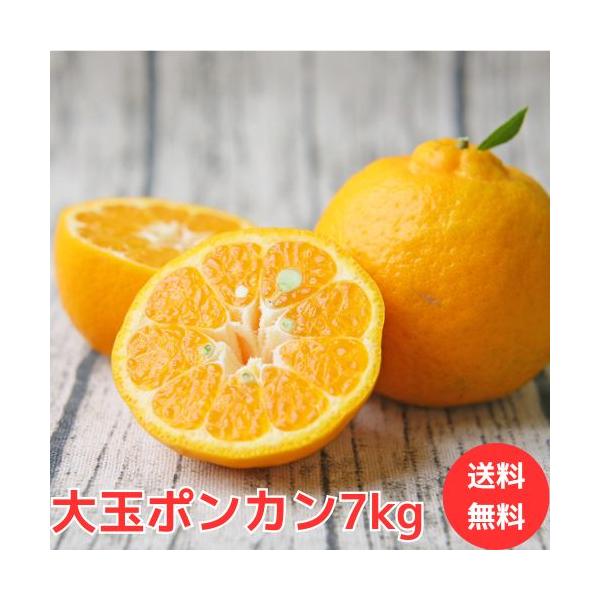 ---------------------------------------------本商品は【家庭用　大玉サイズ】です。---------------------------------------------内容：大玉ポンカン　7k...