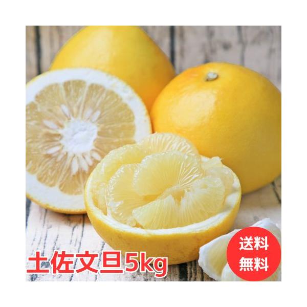 【※本商品はM〜2Lまでのサイズ込みです※】-----------------------------------------内容：土佐文旦　5kg　【高知県産】（家庭用・M〜2Lサイズ込み・多少の葉傷・黒点が含まれます。）--------...