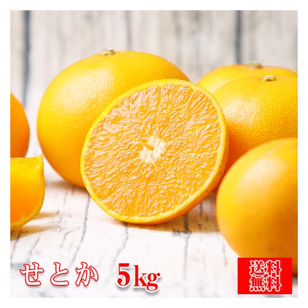 味、コク、美味しさはみかんの中でも最上級！みかんの大トロせとか！内容：せとか　5kg※ご家庭用・葉傷・枝傷・黒点等がございます。産地　　：愛媛県賞味期限：生ものですので、お早めにお召し上がり下さい。 配送方法：佐川急便でお届けさせて頂きます...
