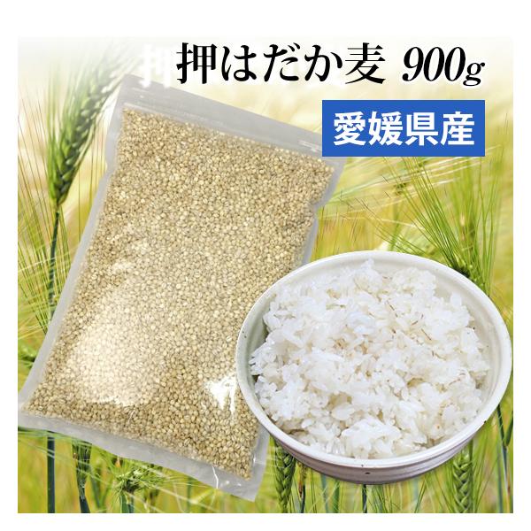 食物繊維たっぷりの「押はだか麦」が1000円ポッキリで登場！！なんと食物繊維はゴボウ以上！ぷちぷちとした食感でとってもおいしく食べられ、しかも栄養満点！雑穀米として白米に混ぜて食べても違和感ナシ！メタボ対策やダイエットにもオススメの大麦です...