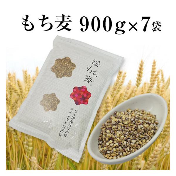 【発売日：2026年01月06日】テレビで話題の「もち麦」なんと食物繊維はゴボウ以上！無添加もちもちとした食感でとってもおいしく食べられ、しかも栄養満点！白米に混ぜて雑穀米として食べても違和感ナシ！メタボ対策やダイエットにもオススメです。1...