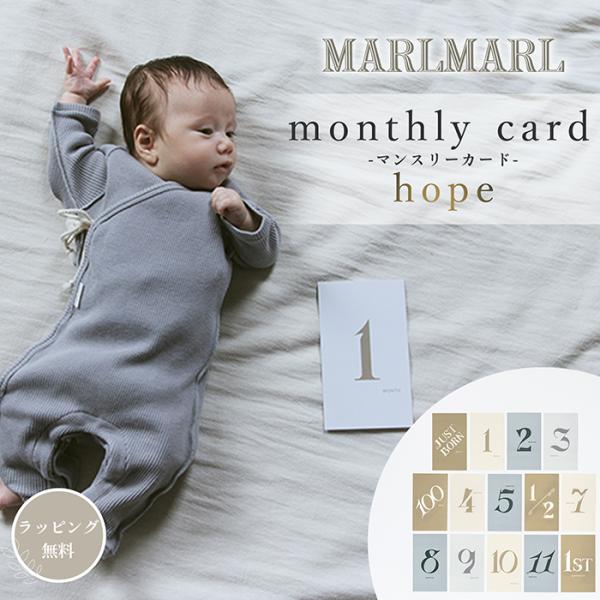 【セット内容】月齢カードとデコレーションシール、収納ケースがセットになったメモリアルキット。コンパクトで保管もしやすい新書サイズです。【シーン】生まれた日から始まり、1ヶ月、2ヶ月…100日にハーフバースデー、そして1歳の誕生日を迎えるまで...