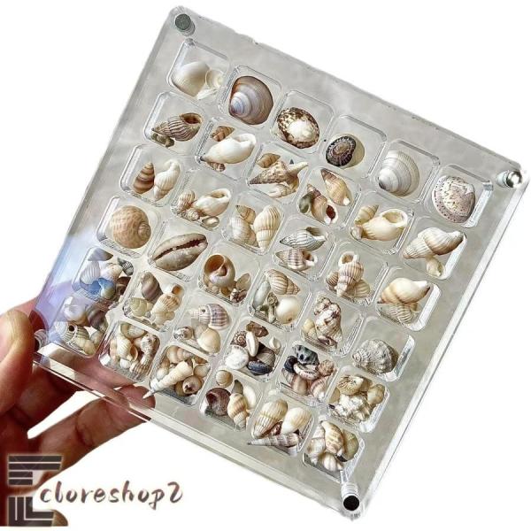 ?[アクリル磁気貝殻ディスプレイボックス]：この透明なアクリルディスプレイボックスは、貝殻を整理および紹介するための複数のグリッドオプション（1/36/64/100）を提供します。非常に透明なアクリル材料により、保存された貝殻を明確に見るこ...
