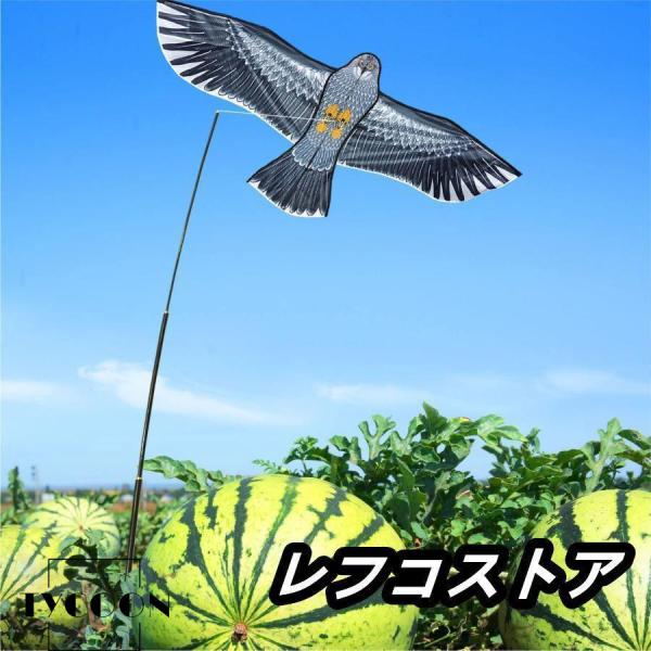 鳥よけ カイト 鷹 (ポール竿付) 軽量丈夫 防鳥具 鳥追い 畑 植物保護 農業用 カイト鷹 1.5m凧 4mポール