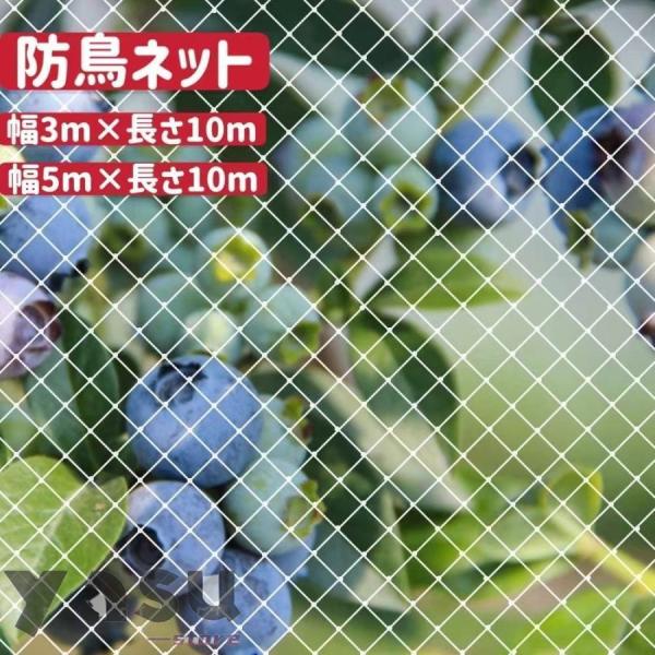 サイズ：防鳥ネットは鳩、カラス、ツバメ、雀のような小さい鳥類の侵入を防止でき、静かな家事生活を守れます。愛猫は家から脱走することも防止できます。透明色で目立たなくて建物自身の色味に合わせて、外側の景観も損ないません。圧迫感が少ない、クリアー...