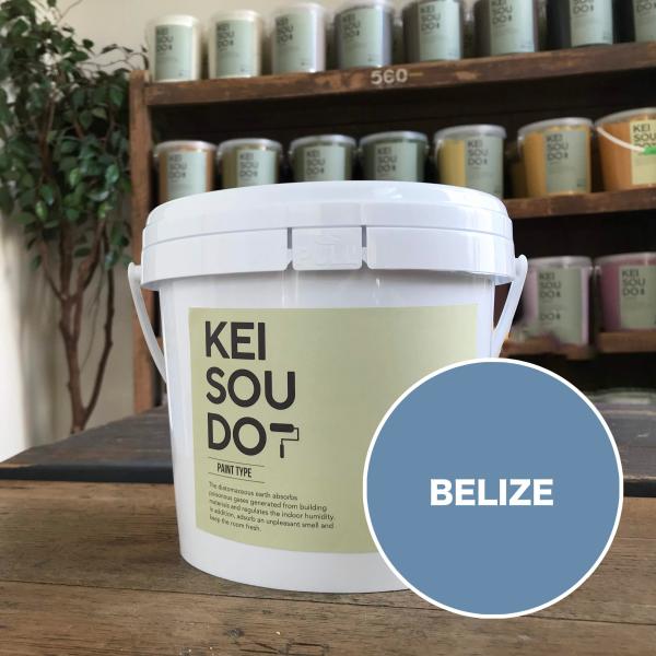 【 KEISOUDO PAINT 】「バランスあるオリジナルブレンド」に拘りを持つ 　珪藻土 内装仕上げ材 珪藻土塗料 ペイント材■練り込みタイプの内装用珪藻土壁材 ペイント材　「PLASTER TYPE」の塗料化製品　フタを開けて、すぐに...
