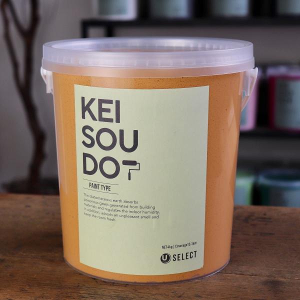 【 KEISOUDO PAINT 】「バランスあるオリジナルブレンド」に拘りを持つ 　珪藻土 内装仕上げ材 珪藻土塗料 ペイント材■練り込みタイプの内装用珪藻土壁材 ペイント材　「PLASTER TYPE」の塗料化製品　フタを開けて、すぐに...