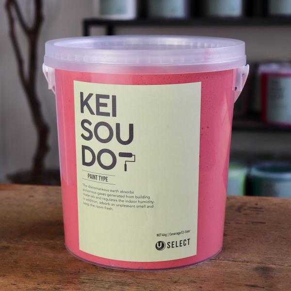 【 KEISOUDO PAINT 】「バランスあるオリジナルブレンド」に拘りを持つ 　珪藻土 内装仕上げ材 珪藻土塗料 ペイント材■練り込みタイプの内装用珪藻土壁材 ペイント材　「PLASTER TYPE」の塗料化製品　フタを開けて、すぐに...