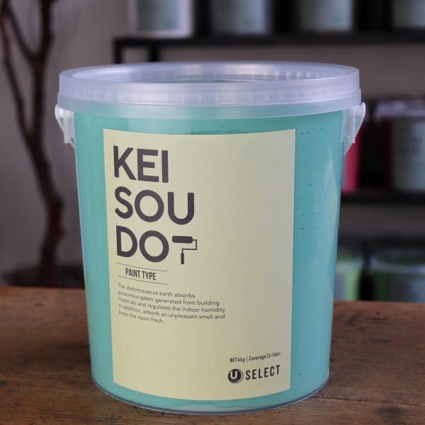 【 KEISOUDO PAINT 】「バランスあるオリジナルブレンド」に拘りを持つ 　珪藻土 内装仕上げ材 珪藻土塗料 ペイント材■練り込みタイプの内装用珪藻土壁材 ペイント材　「PLASTER TYPE」の塗料化製品　フタを開けて、すぐに...