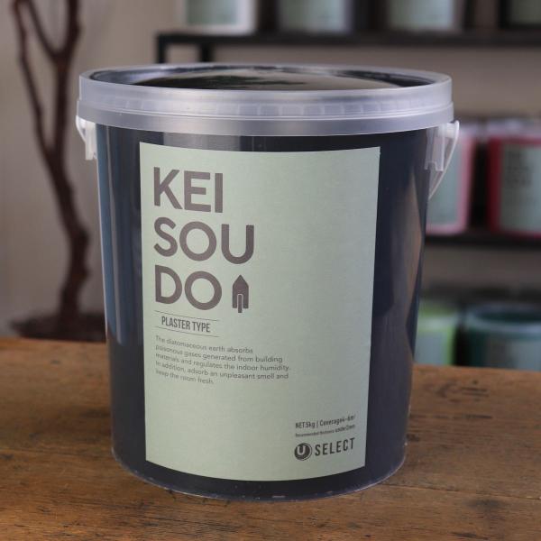 【 KEISOUDO PLASTER 】「バランスあるオリジナルブレンド」に拘りを持つ 　珪藻土 内装仕上げ材 塗料（塗り壁左官材） ■練り込みタイプの内装用珪藻土壁材　フタを開けて、すぐに塗ることができます　プロの方にも！DIYの方にも！...