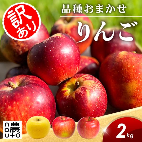 【発売日：2025年12月10日】■内容量2kg（約8〜13玉）ご家庭用や、ちょっとしたプレゼントにもおすすめ。もっとたっぷり楽しみたい方へ、4kg（約16〜26玉）おすそ分けや来客用にも便利な、人気の定番サイズ。5kg／10kgの大容量パ...