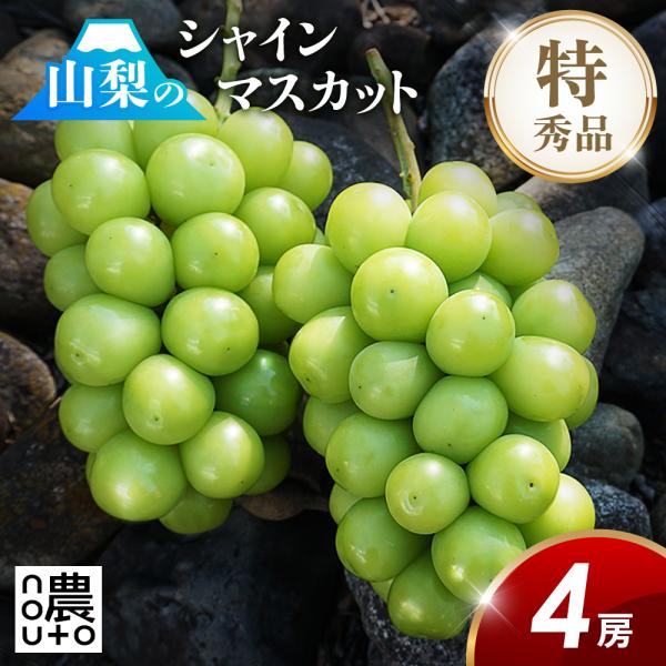 【発売日：2026年08月24日】▼商品名山梨県産 特秀品 シャインマスカット4房（2kg 前後）常温便 / クール便▼発送について▼最短即日〜7営業日以内に発送いたします。▼【注意事項】※味覚は個人差がございますので、味覚に関するクレーム...