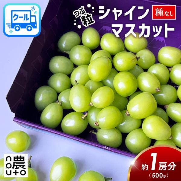 【発売日：2026年05月14日】山梨県産 訳あり 粒つぶシャインマスカット500g(約1房分)+保証分50g クール便▼発送について▼2026年8月24日〜順次発送いたします。なお、収穫状況や天候により前後する場合がございます、あらかじめ...