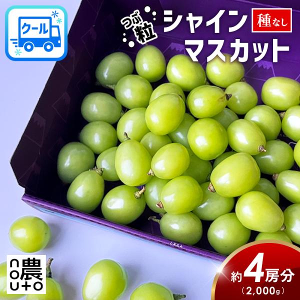 【発売日：2026年05月14日】山梨県産 訳あり 粒つぶシャインマスカット2000g(約4房分)+保証分50g クール便▼発送について▼2026年8月24日〜順次発送いたします。なお、収穫状況や天候により前後する場合がございます、あらかじ...