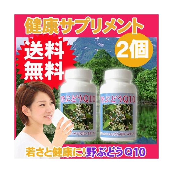 いつまでも若々しく健康！野ぶどうQ10　2個セット人は年齢とともに人体の機能が低下していきます。低下した機能を助けるため、長年利用されている和漢植物、野ぶどうとウコンとガジュツをブレンドさらに、コエンザイムQ10とビタミンを加用しました。お...