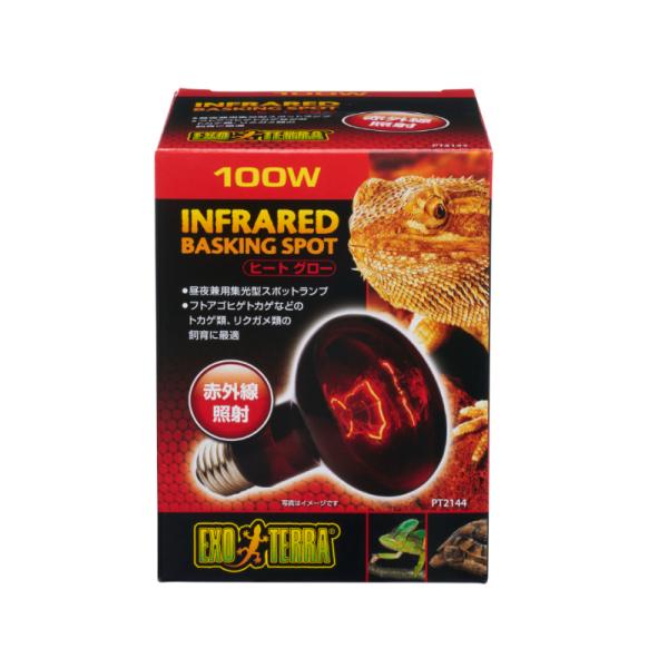 カラーガラスを使用した、赤外線を照射するスポットランプです。 生体には見えにくい赤い光で、昼夜を問わず、活動サイクルを妨げずにテラリウムを全体的に赤外線を照射します。 昼夜のサイクルを飼育爬虫類に作るために、エキゾテラ「サングロー」と組み合...