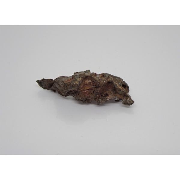 長い年月でカンラン石は風化し、黄色やオレンジ色になっていますが、ルーペでのぞくとキラキラした粒子が見える部分もあります。【重さ】【大きさ】写真にメモあり※ケースに入れてお送りします。イミラック・パラサイト■発見：1822年■発見場所：チリ（...