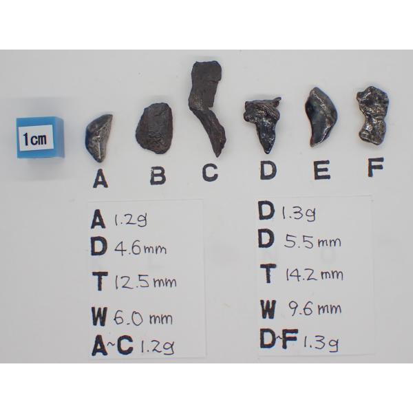 発見、1909 年　オーストラリア鉄隕石　ICグループとても珍しく変わった隕石です。1909 年、西オーストラリア州の南西端にある人里離れた地域で、 金の探鉱をしていた AP ブロフィーによって約 31.5 kg の塊が最初に発見されました...