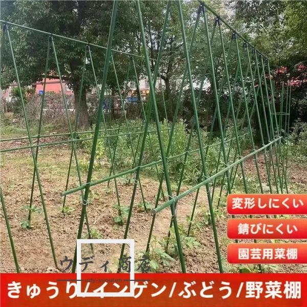 植物支柱 園芸支柱 つる空中栽培 つる性植物   観葉植物 きゅうり棚 ヘチマ棚、ブドウ棚 野菜棚 つる性植物棚