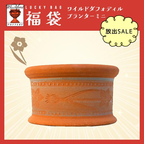 ウィッチフォード植木鉢　”ダフォディルプランターミニ”　※サンプルのため数量限定です。・渋谷園芸オリジナルオーダー　ダフォディルプランターミニ　直径約14cm×高さ約8cmダフォディルプランターのミニサイズ（サンプルオーダー）商品です。ダフ...