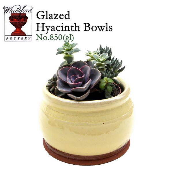ウィッチフォード＜Whichford Pottery＞ 塗り鉢 GLAZED HYACINTH BOWLS《グレイズド ヒヤシンスボウルズ》※球根、多肉植物はイメージです。お届けは鉢のみです。