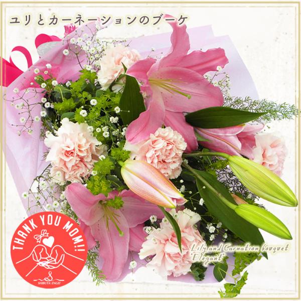 【発売日：2026年05月06日】----------------------------------------------------------------＜早割＞母の日ウィーク期間限定お届け＜早割＞〜4月30日(木)まで期間内にご注...