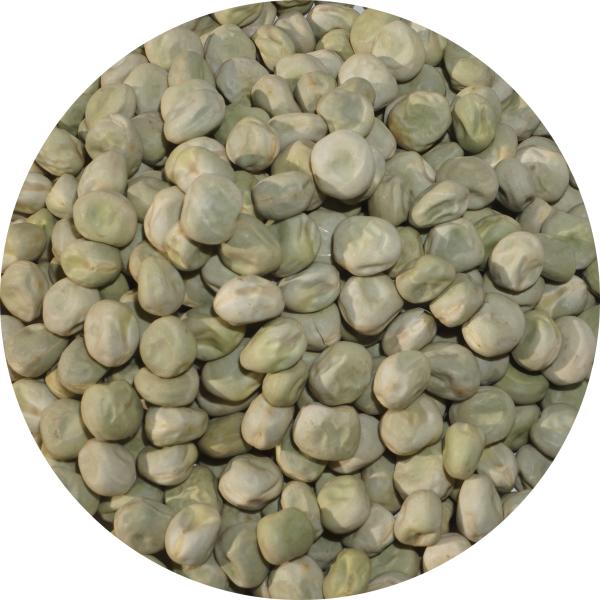 原産国：カナダ・イギリス原材料：マタル(青えんどう豆・グリーンピース) 形態：袋入り 賞味期限：300日 保存方法：直射日光・高温多湿を避け、冷暗所にて密閉保存下さい。 開封後はどうぞお早めにご使用下さい。