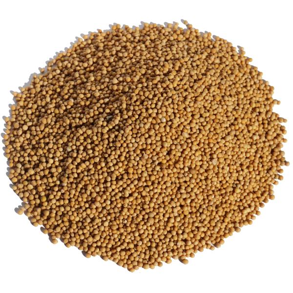 原産国：カナダ原材料：イエローマスタードシード形態：袋入り賞味期限：300日保存方法：直射日光・高温多湿を避け、冷暗所にて密閉保存下さい。開封後はどうぞお早めにご使用下さい。