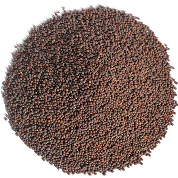 原産国：カナダ原材料：マスタードシード形態：袋入り賞味期限：300日保存方法：直射日光・高温多湿を避け、冷暗所にて密閉保存下さい。開封後はどうぞお早めにご使用下さい。