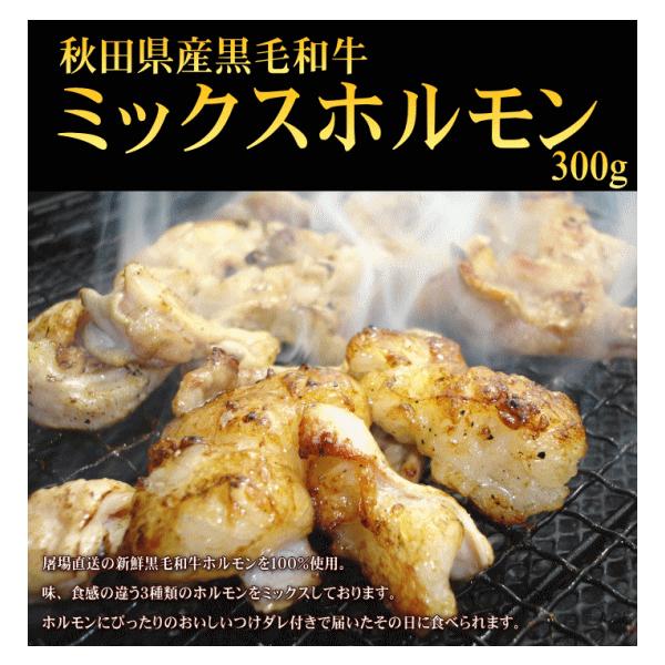 内容量【羽後和牛ホルモン　300g】羽後和牛ホルモンを使ったホルモン焼肉セットです。市場から直送された新鮮ホルモンを丁寧に下処理し、特に上質な部分のみを焼肉セットにいたしました。羽後和牛ならではの、ぷるっぷるの食感、かみ締める度に口いっぱい...