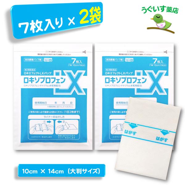 消炎鎮痛　パップ　肩こり　腰痛　打撲　捻挫　腱鞘炎　セルフメディケーション　控除　シップ　貼り薬　テープ　骨折　日本　大石膏盛堂　ロキソニン