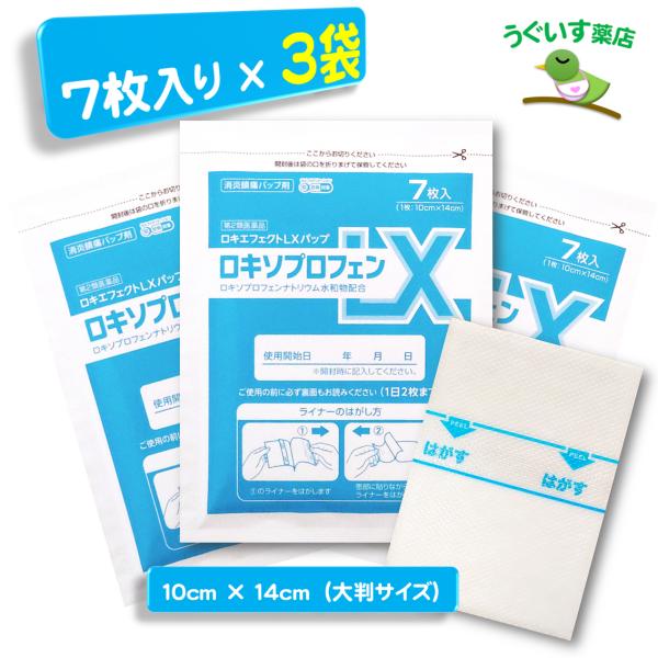 消炎鎮痛　パップ　肩こり　腰痛　打撲　捻挫　腱鞘炎　セルフメディケーション　控除　シップ　貼り薬　テープ　骨折　日本　大石膏盛堂　ロキソニン