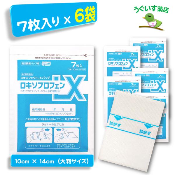 消炎鎮痛　パップ　肩こり　腰痛　打撲　捻挫　腱鞘炎　セルフメディケーション　控除　シップ　貼り薬　テープ　骨折　日本　大石膏盛堂　ロキソニン
