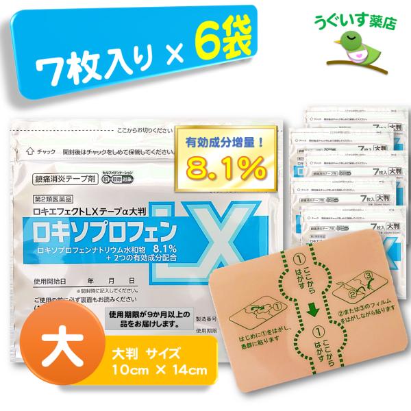消炎鎮痛　肩こり　腰痛　打撲　捻挫　腱鞘炎　セルフメディケーション　控除　シップ　貼り薬　テープ　骨折　日本　大石膏盛堂　ロキソニン ロキプフェン