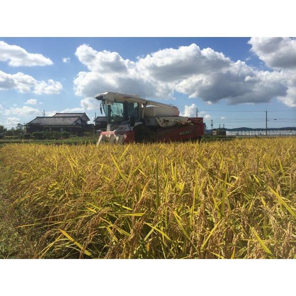 【発売日：2025年08月24日】宇川農産で栽培している慣行栽培のてんたかく玄米です。慣行栽培と言っても有機堆肥たっぷりに育てた美味しいお米です。農薬も除草剤１回と殺虫剤2回のみの散布で栽培しております。複数必要な方はご面倒ですが複数ご注文...