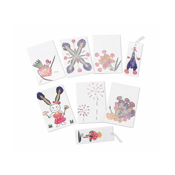 【2個セット】 アーテック ArTec 押し花セット