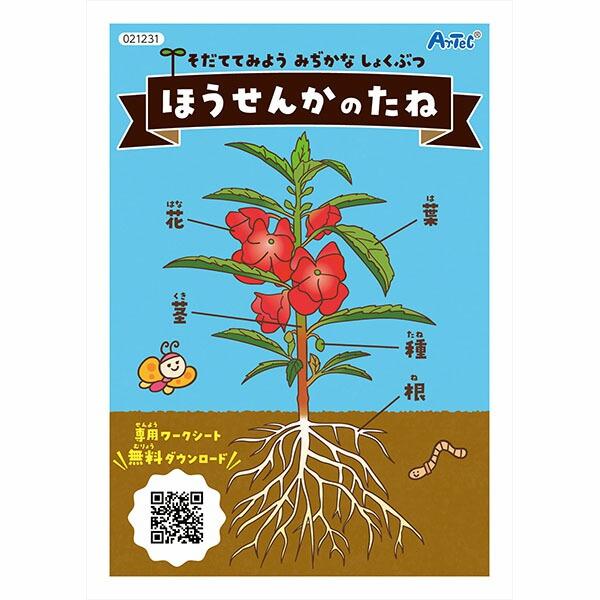 【2個セット】 アーテック ArTec ほうせんかの種(幼保教材) 理科 ほうせんかの種 栽培 家庭菜園 小学校 幼保教材 種子 観察 高品質●品名：アーテック ArTec ホウセンカノタネ（ヨウホキョウザイ）●サイズ：８４×１３９ｍｍ●材...