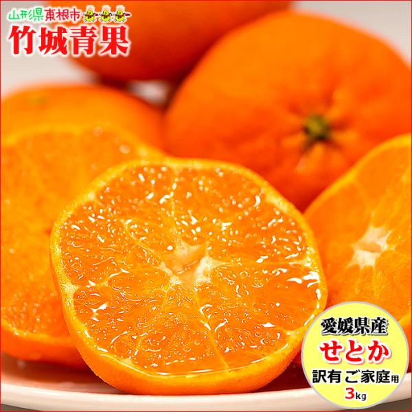 ■商品名:愛媛県産 みかん せとか■商品内容:ご家庭用:1箱 約2.7〜3kg(8〜20玉前後)※重さ・玉数のご指定はお受けできません■原産地:愛媛県■配送方法:常温便■賞味期限:生もののため、お早めにお召し上がりください■保存方法:直射日...