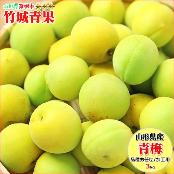 ■商品名:山形県産 青梅■商品内容:ご家庭用:1箱 約3kg※重さ・玉数ご指定はお受けできません■品種:「白加賀梅」「節田梅」「豊後梅」「南高梅」等※品種のご指定はお受けできません※その他品種を含め、発送時期に一番おいしいお勧めの梅をお届け...