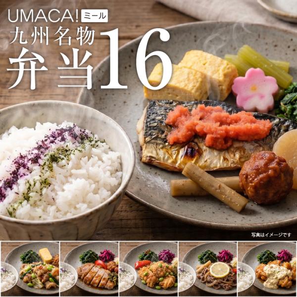 九州縦断！ご当地グルメ食べ比べセット♪長崎のレモンステーキ、宮崎のチキン南蛮、福岡の塩サバ明太など、九州のご当地グルメを冷凍弁当に！調理不要で、プロの味を楽しめます！【関連ワード】 冷凍弁当 冷凍 弁当 ご飯付き 簡単 便利 レンチン 冷凍...