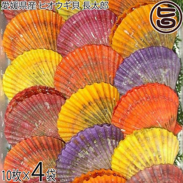【名称】長太郎貝【内容量】10枚×4P　拡幅約8.0cm／枚【賞味期限】製造日より730日【原材料】ヒオウギ貝　四国近海産【保存方法】要冷凍(-18℃以下)【お召上がり方】冷凍のままさっと水洗いし加熱してお召し上がりください。海賊焼き、酒蒸...